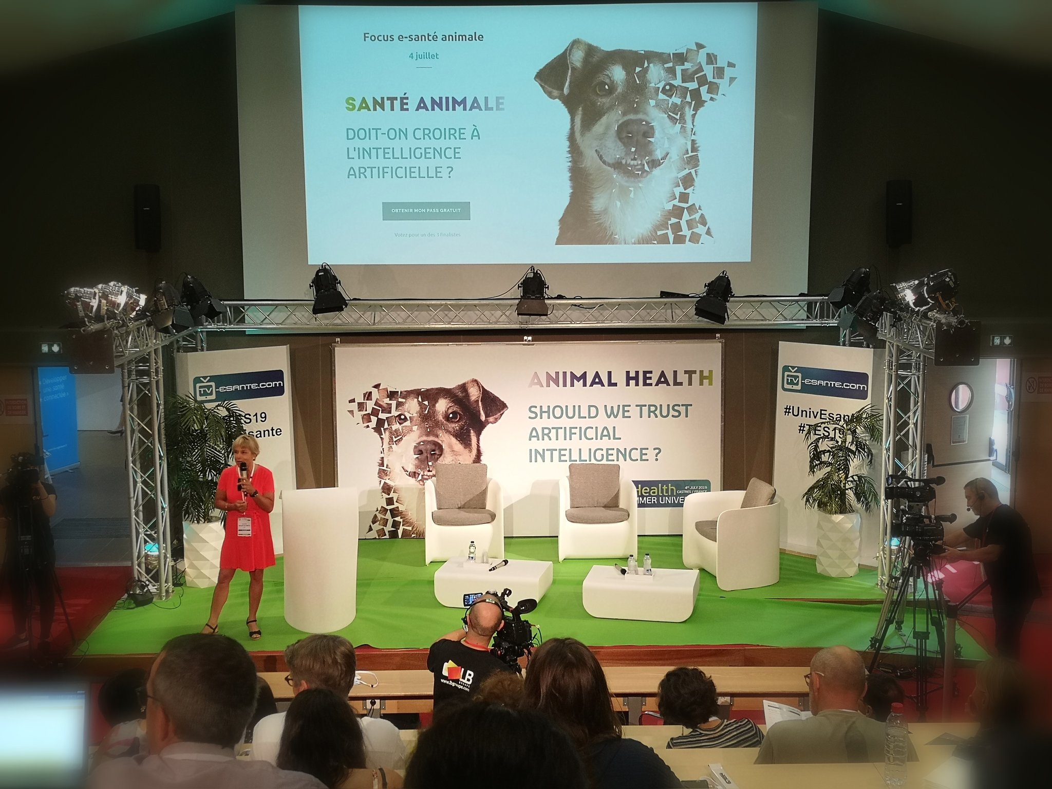 AVS Castres - Connected-vet