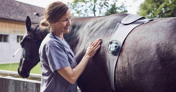 Piavet product aims to aid horse health monitoring – Connected-vet