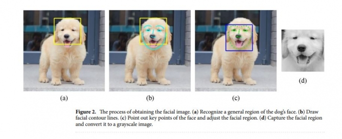 Pet dog facial expression recognition based on convolutional neural ...