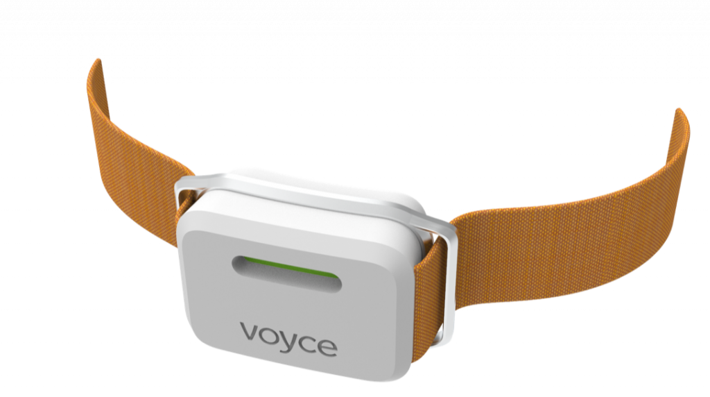 Voyce From One Health Group Wins “Overall Healthcare Product Of The ...